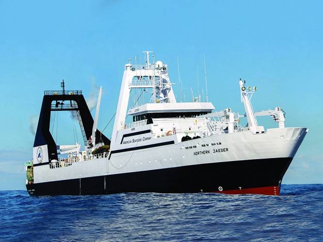 Northern Jaeger - Naust Marine