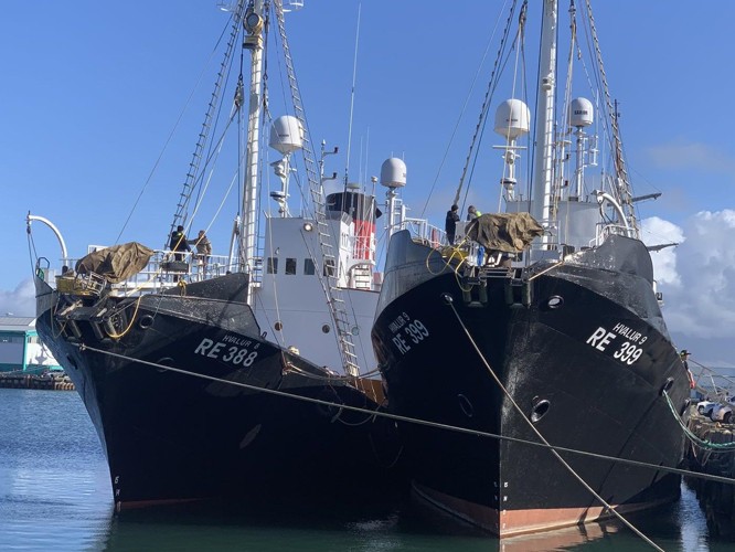 Hvalur 8 - 9 - Naust Marine